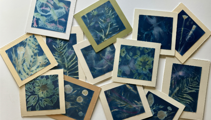 Cyanotype—Camera-less Photography! – Glen Arbor Arts Center
