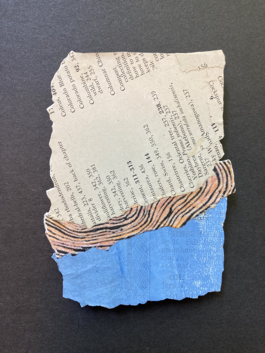 My Mind Wanders 6Shanna Robinson – Glen Arbor Arts Center